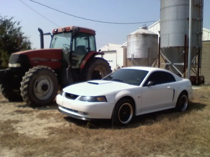 REDNECK MUSTANG PICTURE THREAD! | Page 3 | Mustang Forums at StangNet