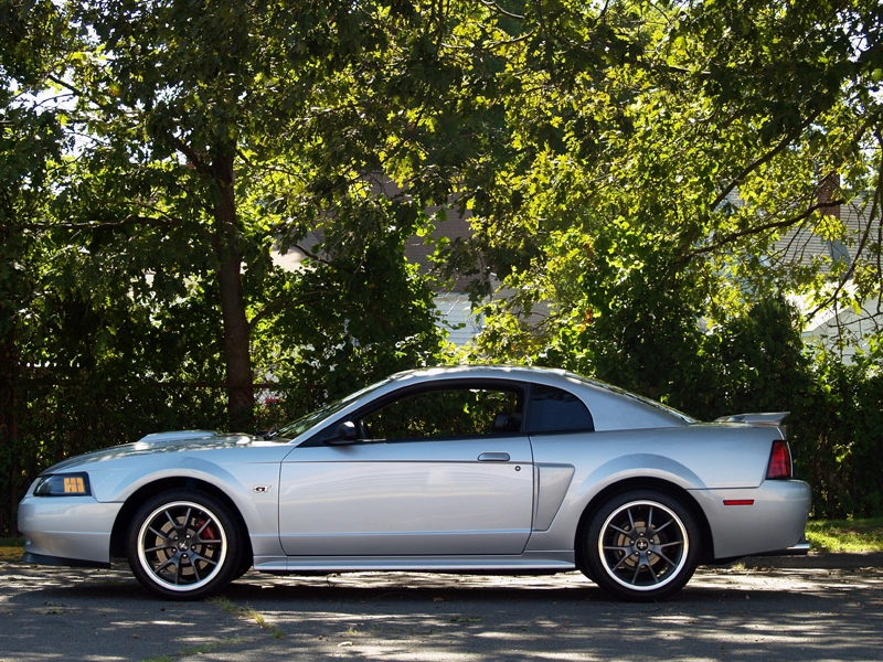 Silver Mustangs pic thread | Mustang Forums at StangNet