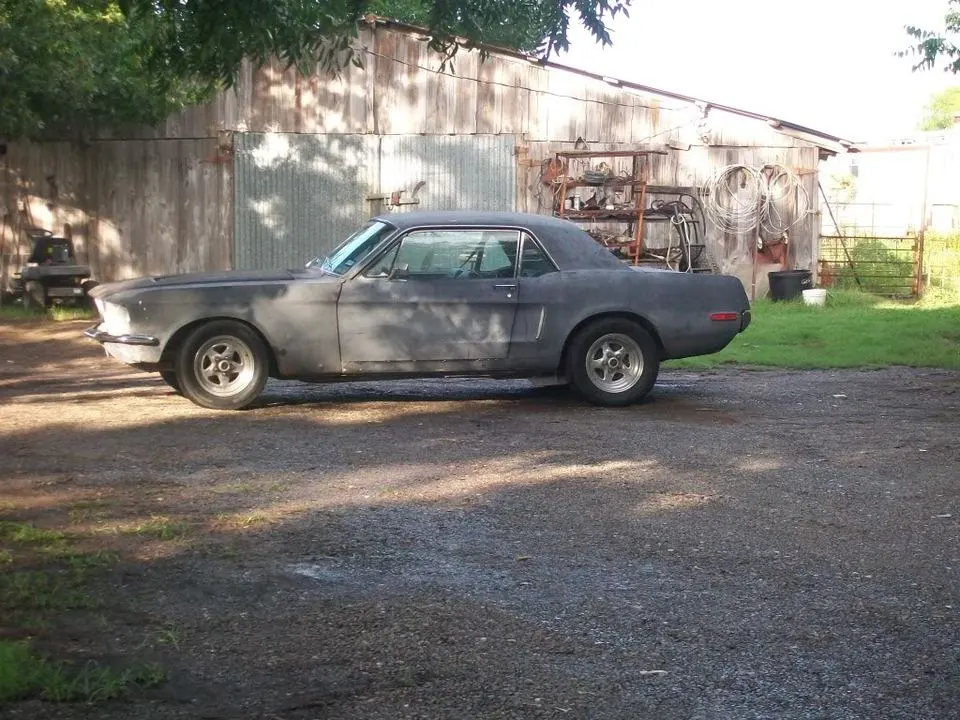 REDNECK MUSTANG PICTURE THREAD! | Page 4 | Mustang Forums at StangNet