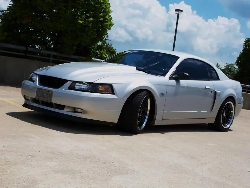 Silver Mustangs pic thread | Mustang Forums at StangNet