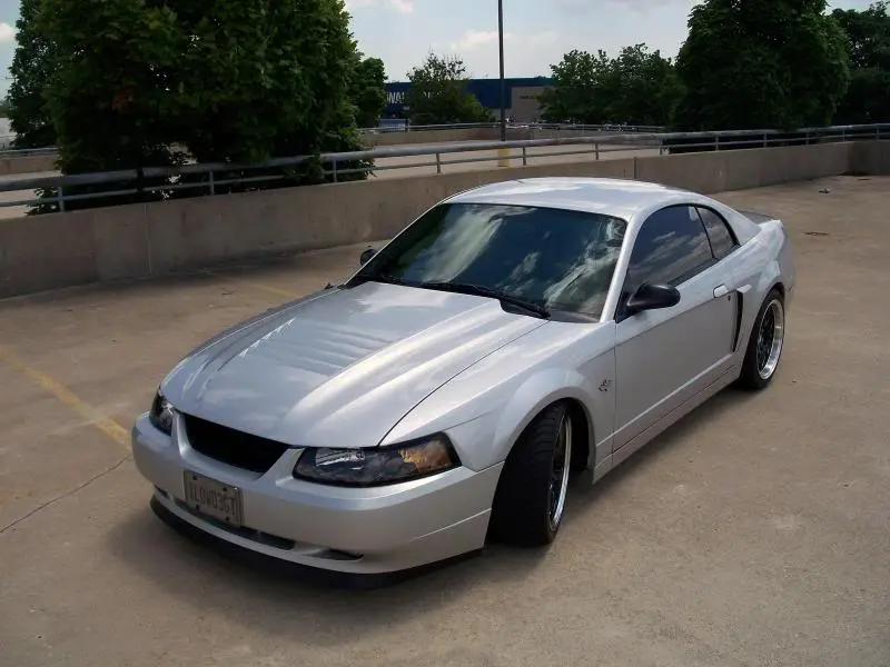 Silver Mustangs pic thread | Mustang Forums at StangNet