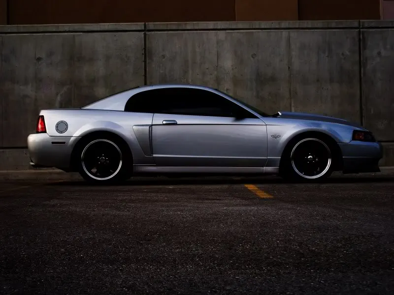 Silver Mustangs pic thread | Mustang Forums at StangNet
