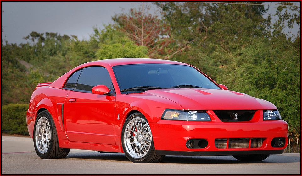 ~ New True Forged Wheels ~ | Mustang Forums at StangNet