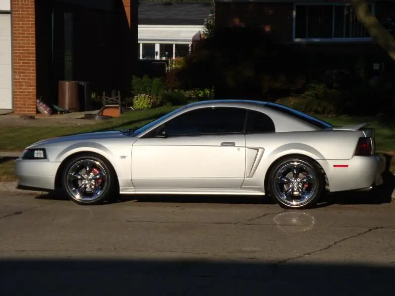 Silver Mustangs pic thread | Mustang Forums at StangNet