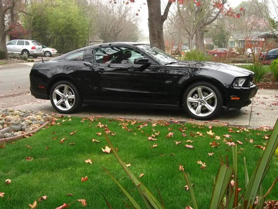 Post Pics of Your Mustang | Page 90 | Mustang Forums at StangNet