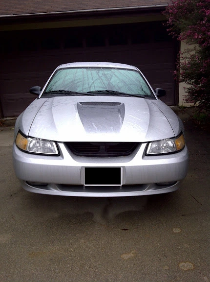Silver Mustangs pic thread | Mustang Forums at StangNet
