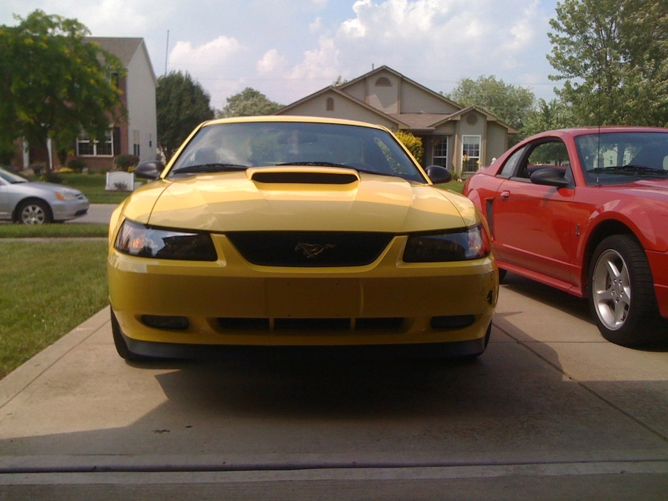 2001 Ford Mustang GT Deluxe Yellow | Mustang Forums at StangNet