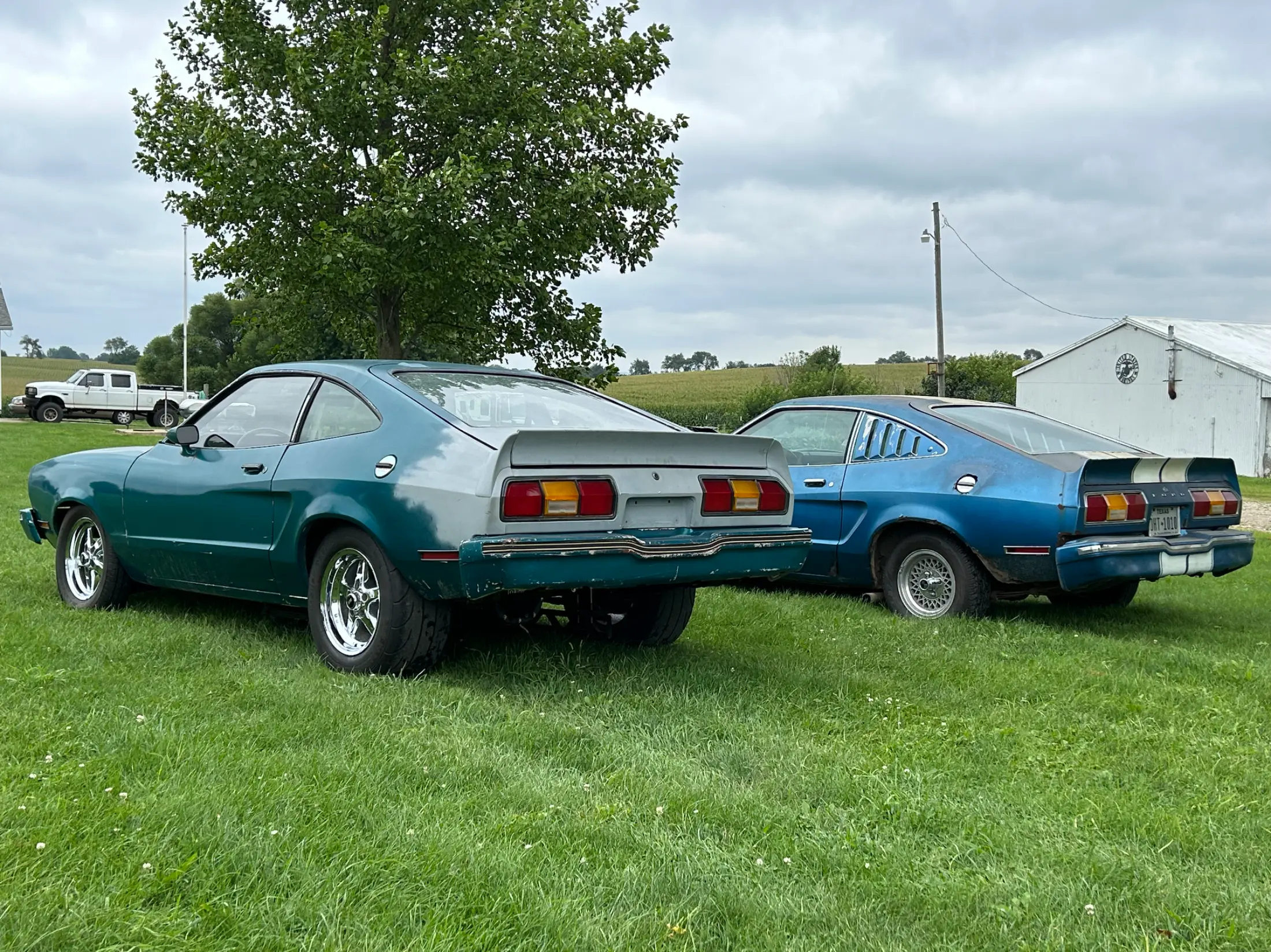 Wheel and tire combo | Mustang Forums at StangNet