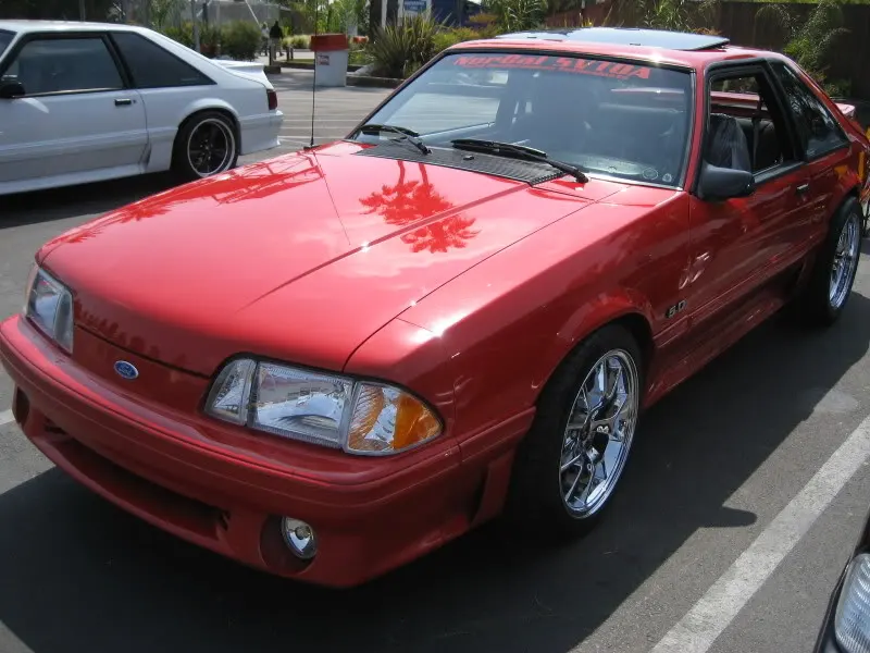 The thread of the nicest FOXES! | Page 86 | Mustang Forums at StangNet