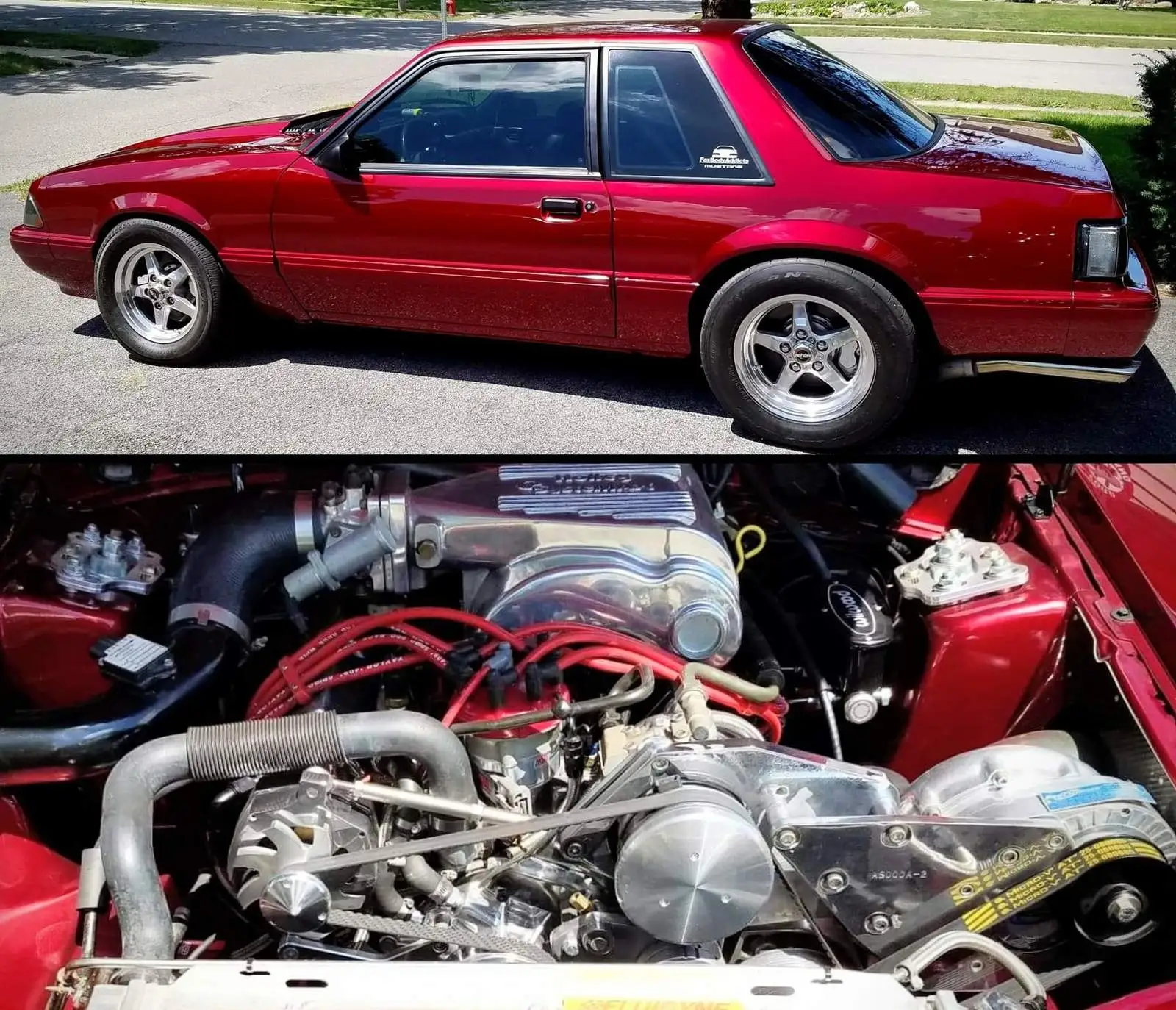 The best Mustang picture thread ever! Car+Motor pics with combo details ...