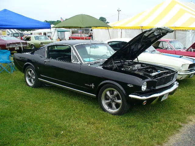 post your PICS of your favorite mustangs! go upload crazy! | Mustang ...