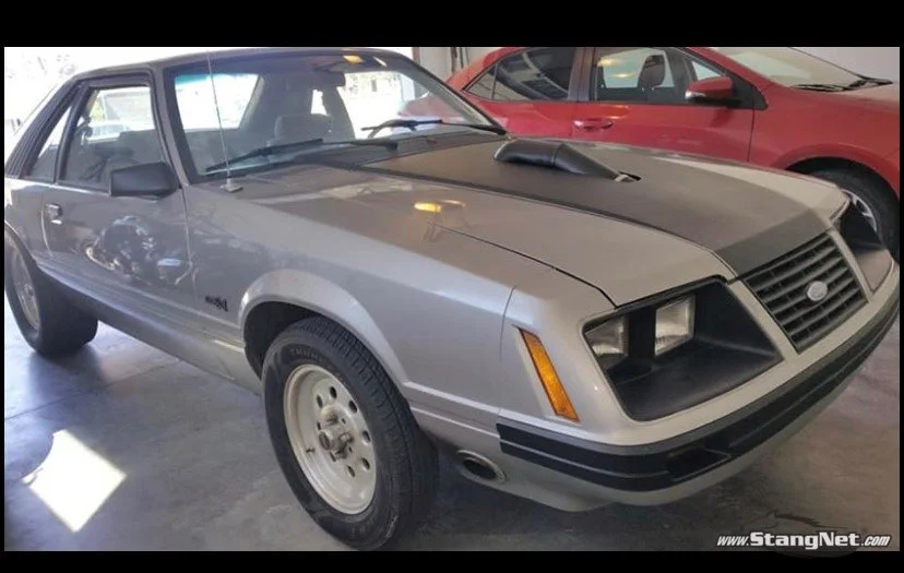 84 Stang.jpg | StangNet